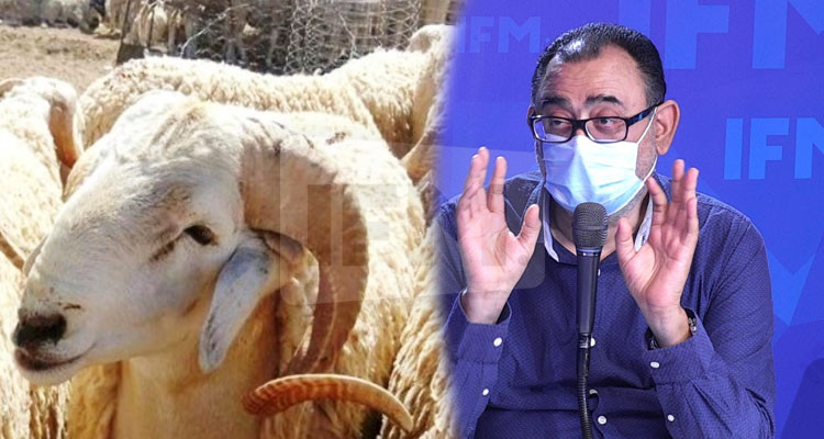 سفيان أسوام الأضحية مش معقولة وأكبر ببرشا من إمكانيات المواطن